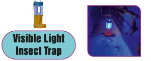 Visible light insect trap - Official Website of ICAR-Central Institute ...